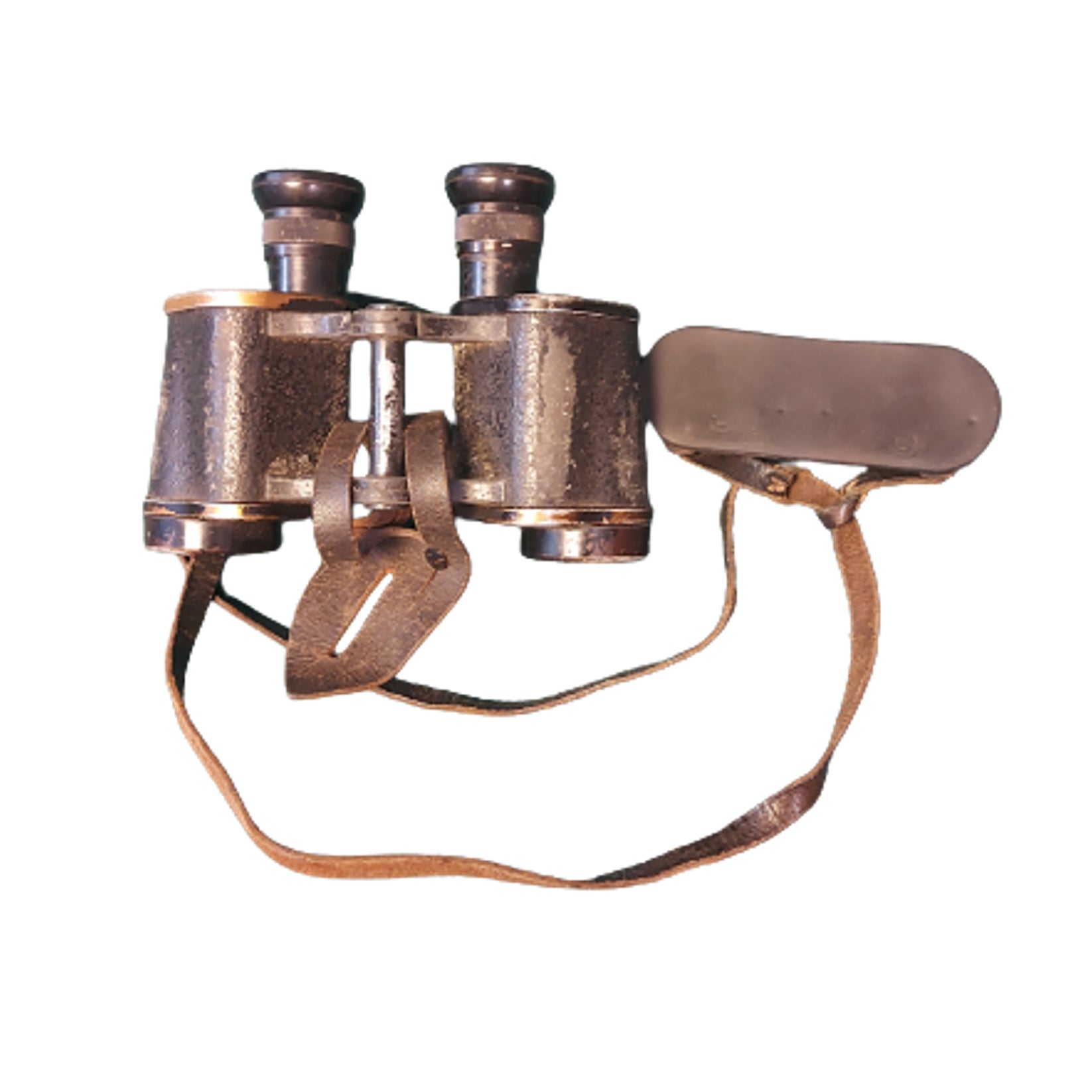 WW2 German Army Field Binoculars In Bakalite Case -Swarovski – Canadian ...